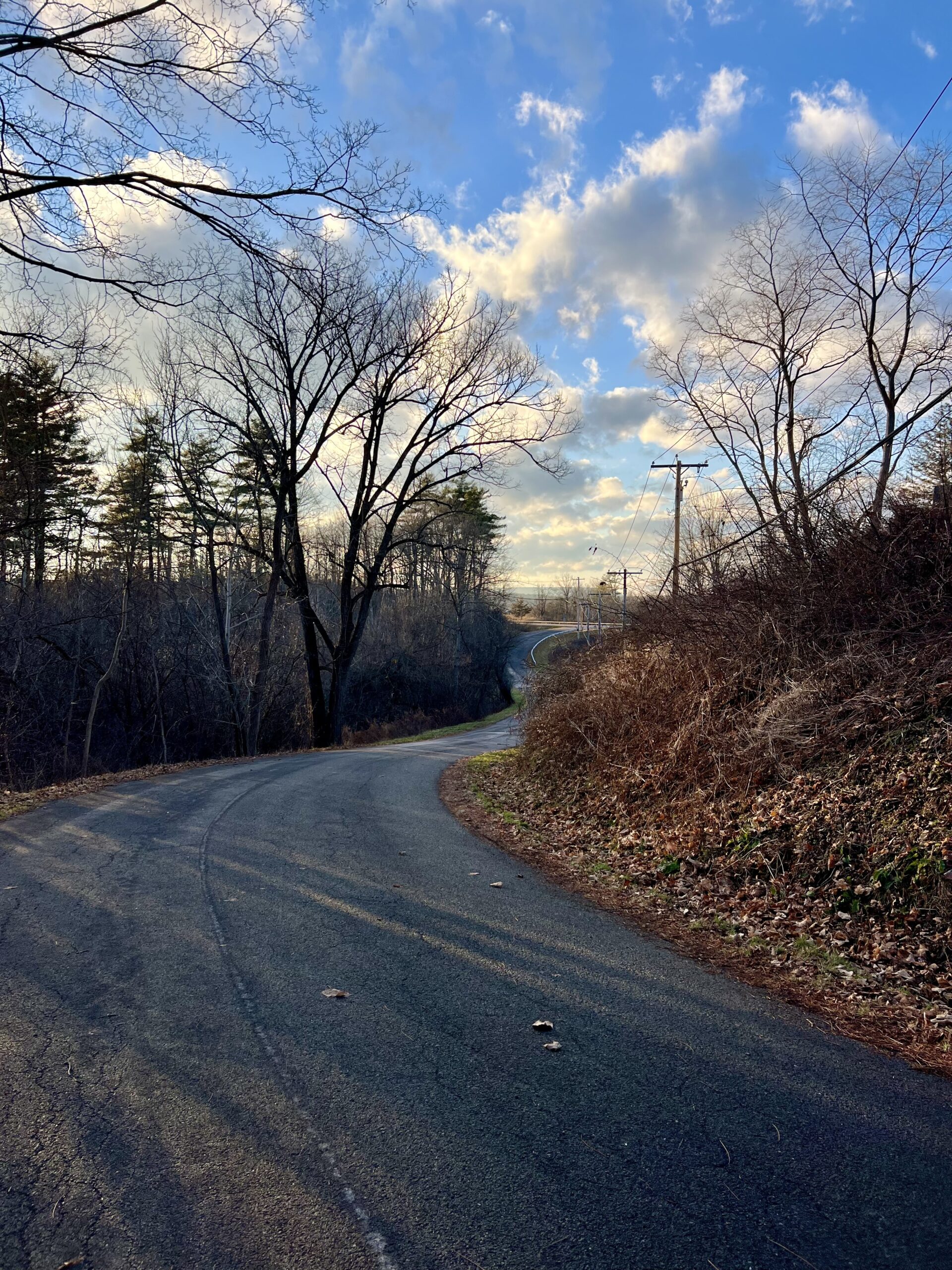 The Winding Path | Ron Dodson