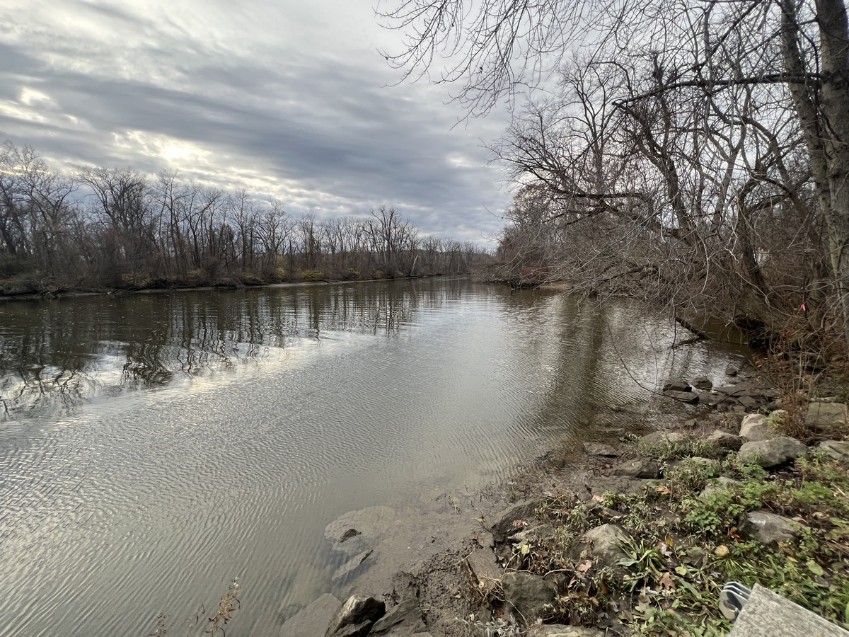 A Beginning on the Bank of the Vlomankill | Ron Dodson